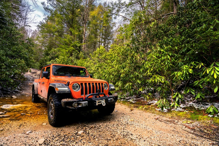 Exploring Canaan Loop Road: The Trail on Everyone's List - WV Explorers