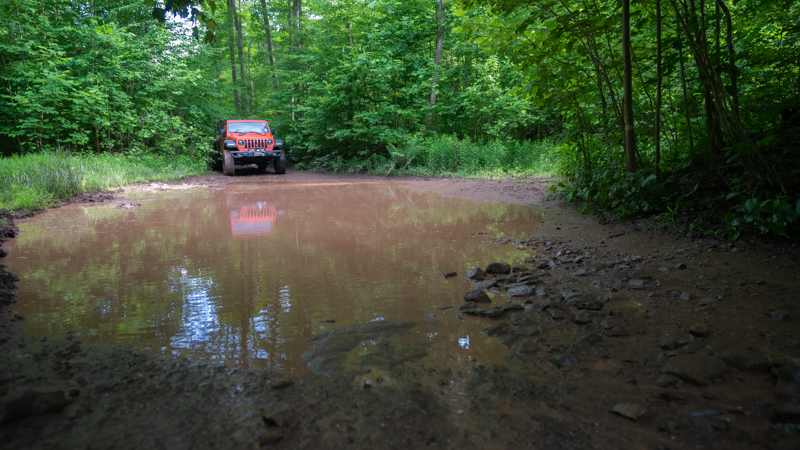 Pedlar Run - WV Explorers